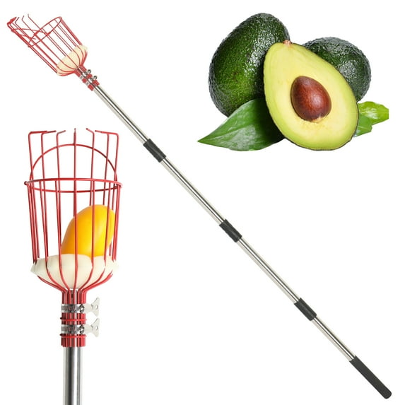 13FT Adjustable Stainless Steel Fruit Picker, Lightweight Telescopic ...