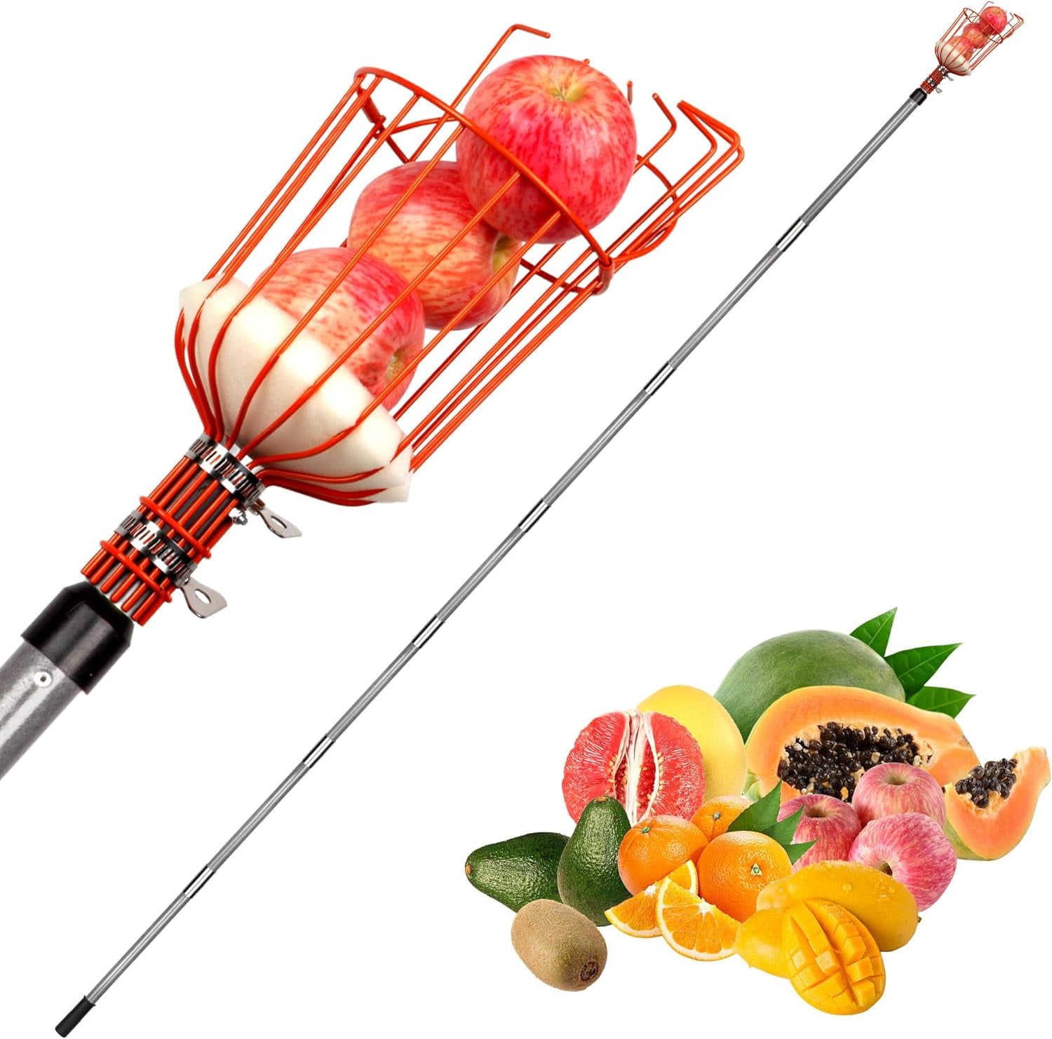 13FT Fruit Picker, Adjustable Fruits Picker Tool with Lightweight Stainless Steel Pole and Big ...