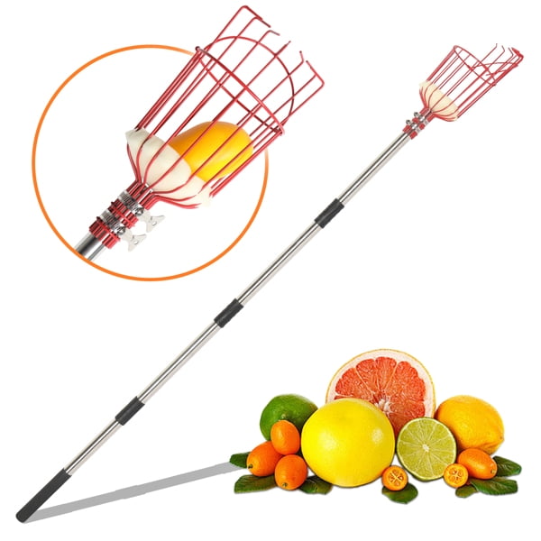 13FT Fruit Picker Tool, Stainless Steel Adjustable Fruit Picker with ...