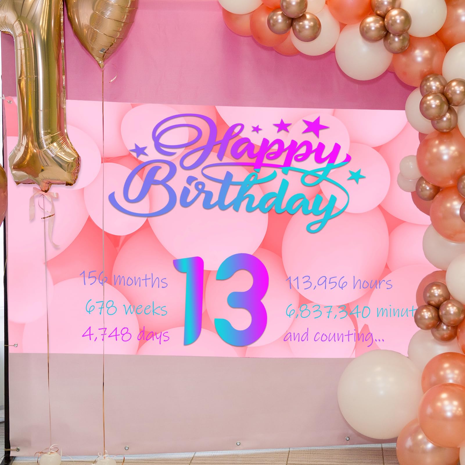 13th Birthday Decorations for Girls Large Size MHD113th Birthday Banner ...