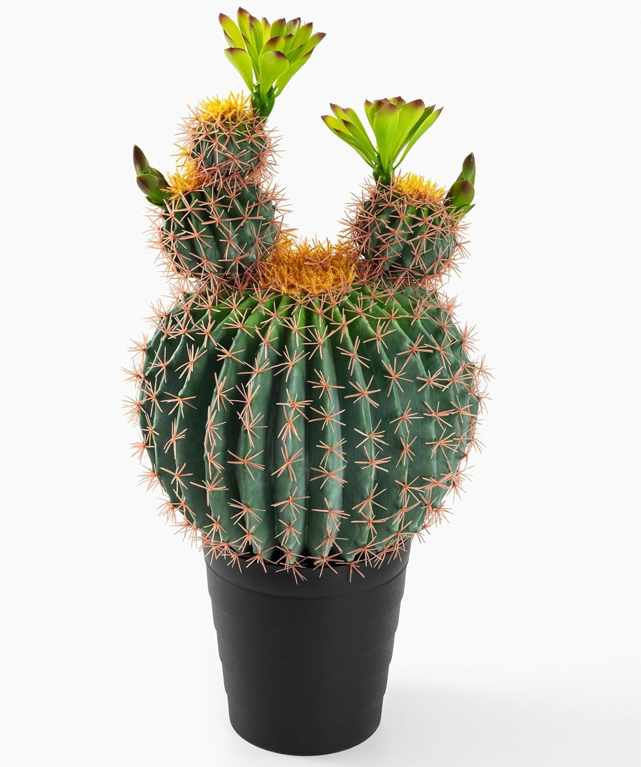 14” & 30” Tall Rustic Artificial Cactus in Bloom with Soft Spines ...
