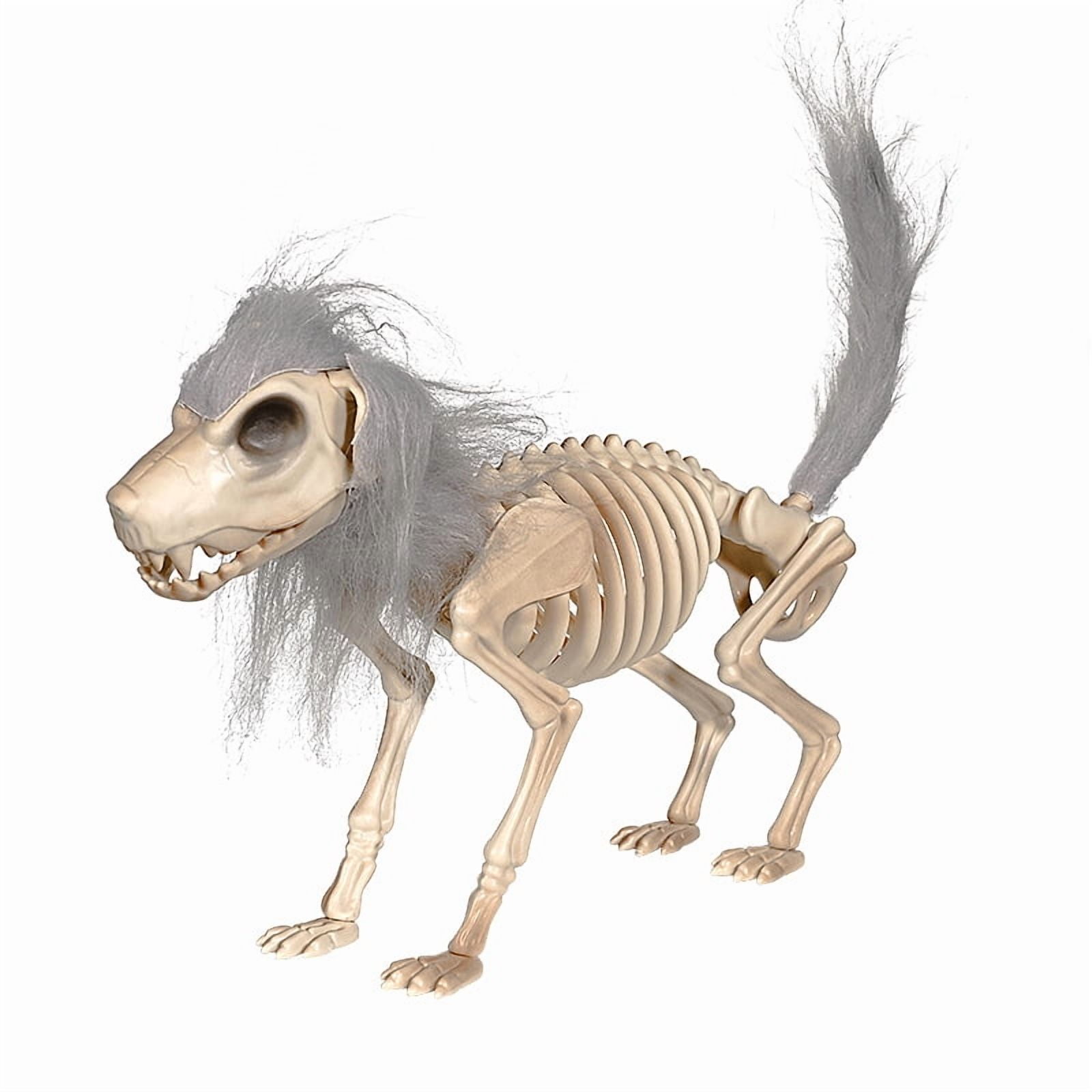 14.9 inches Sitting Skeleton Dog,Plastic Hairy Animal Skeleton ...