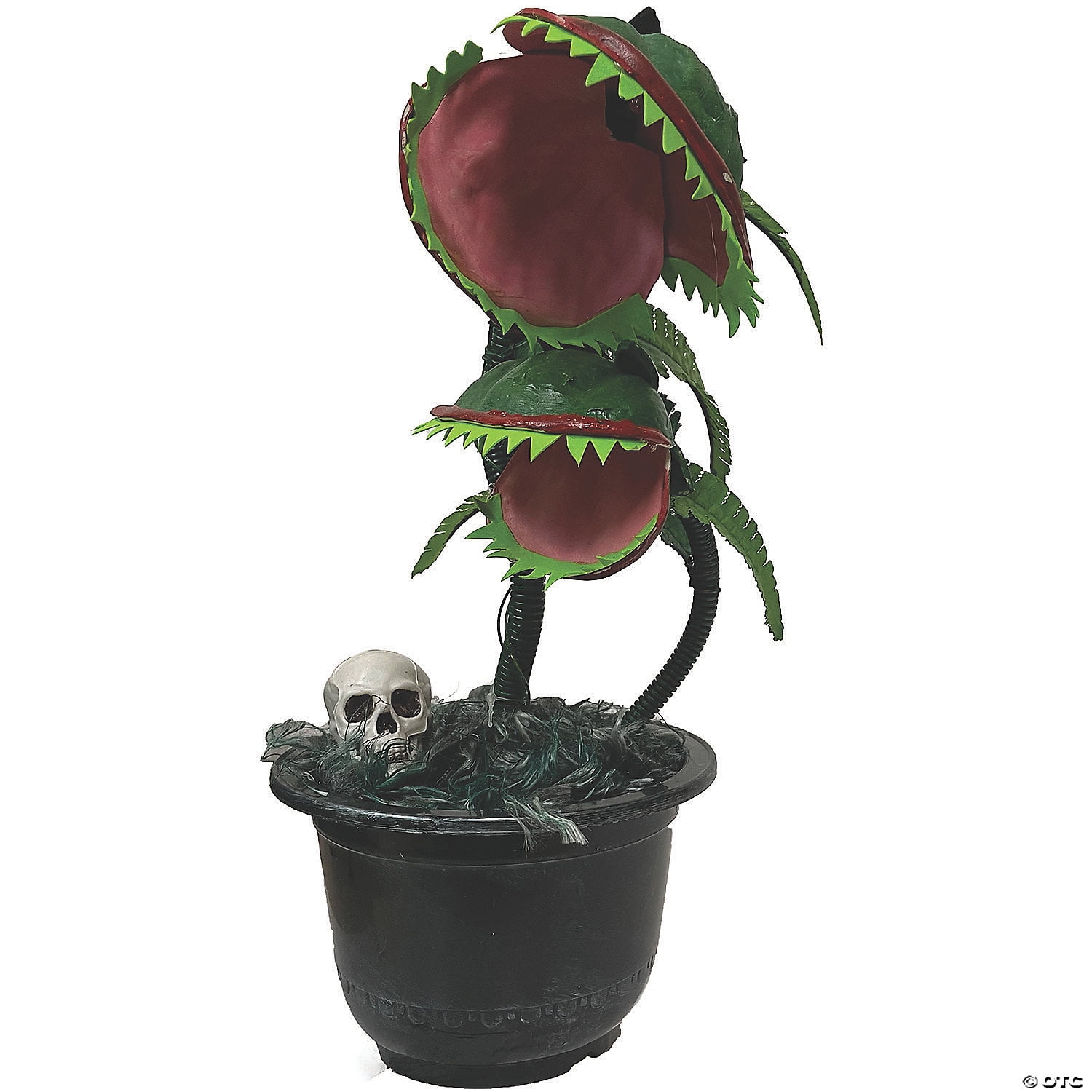 Sunstar - CHOMPER FLOWER - - Walmart.com