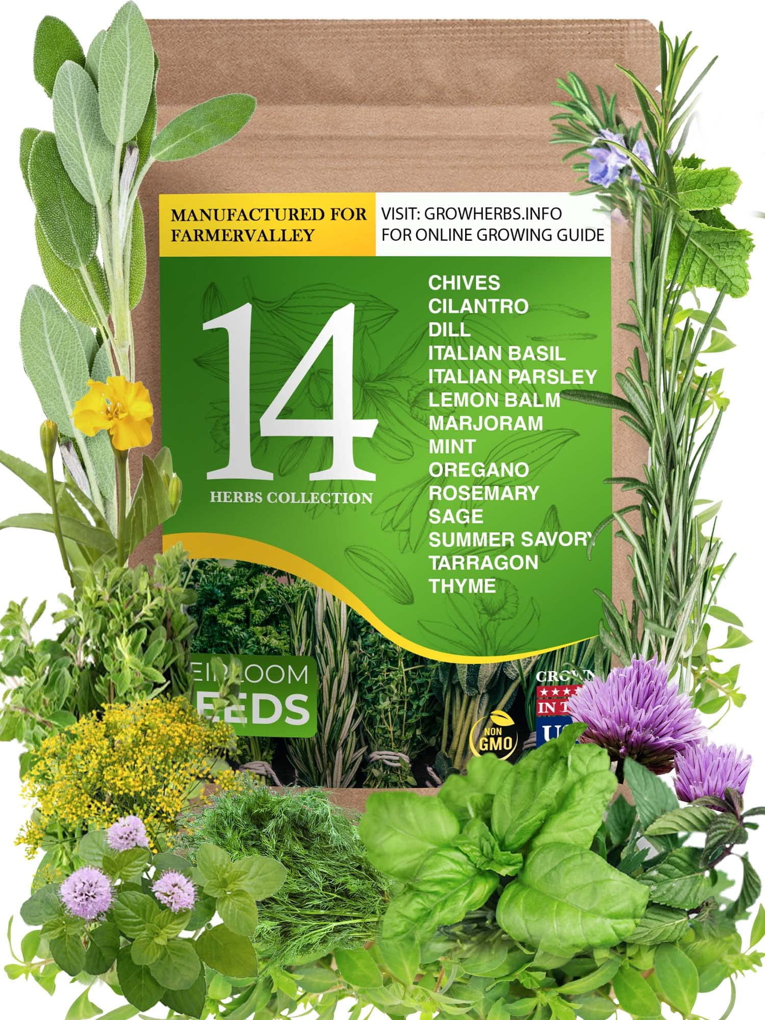 14 Culinary and Medicinal Herbs Seeds Variety MHD1Pack - Grown, Non-GMO ...