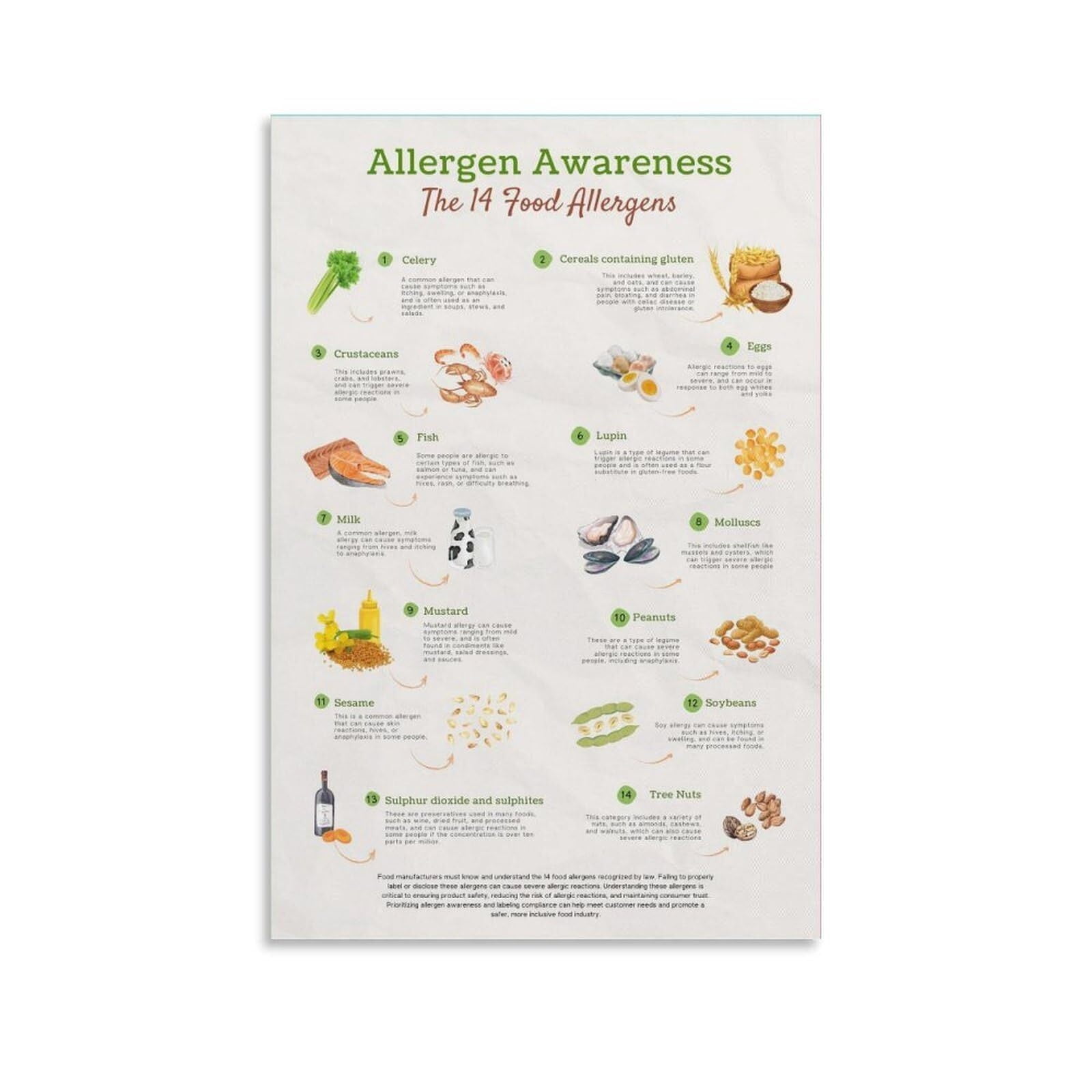 14 Food Allergens Guide Poster Allergen Awareness Canvas for Living ...
