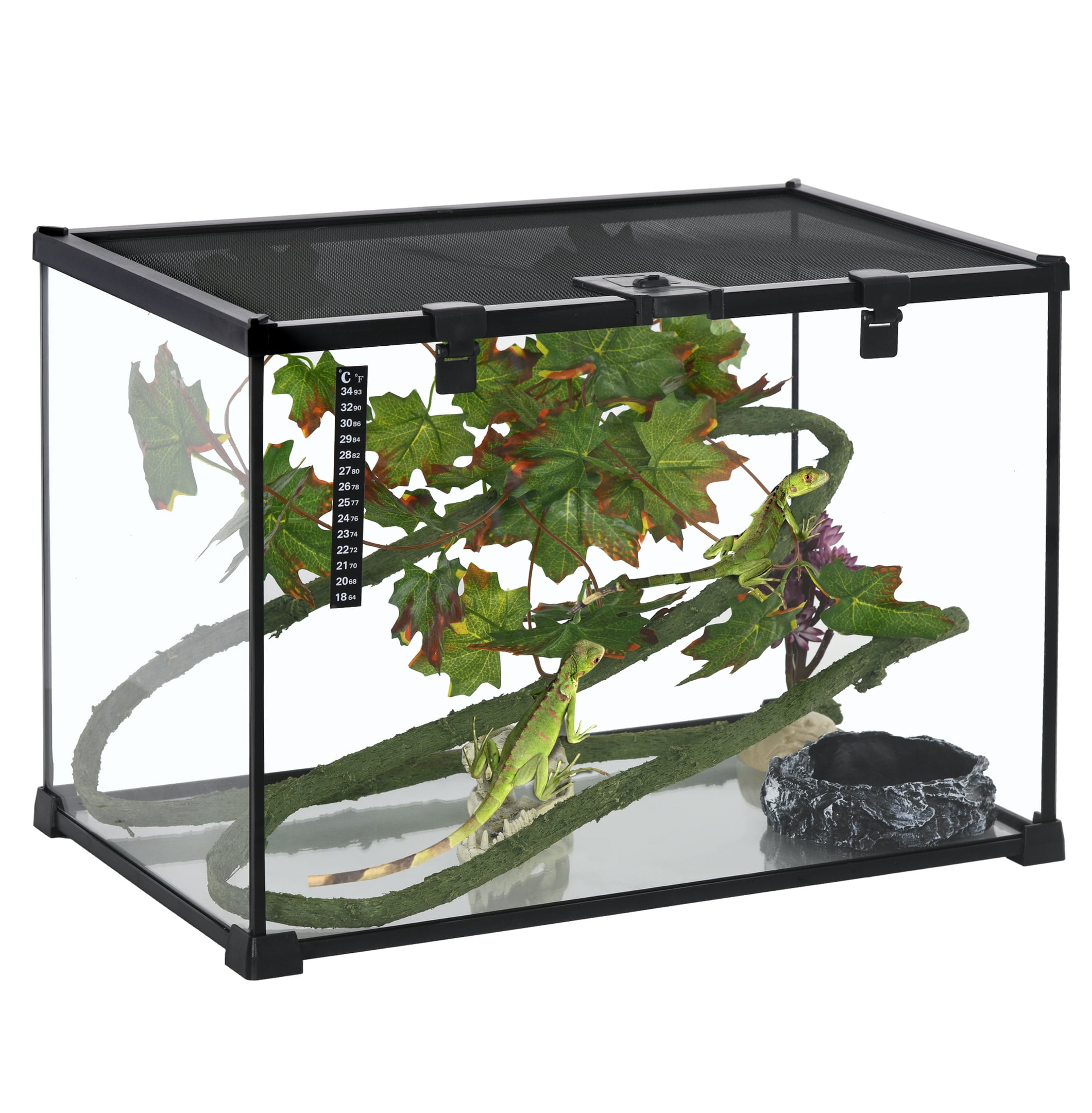 14 Gallon Reptile Terrarium Kit - Glass Habitat for Lizards, Frogs ...