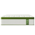 14 Inch Queen Hybrid Mattress in a Box - Gel Memory Foam & Pocket ...