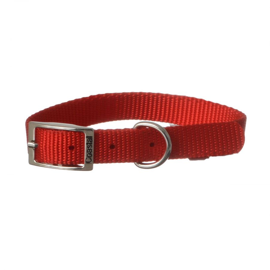 Coastal Single-Ply Dog Collar, Red, 5/8-in x 14-in - Walmart.com