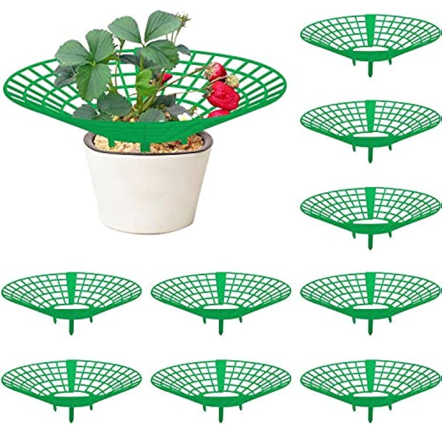 14 Pack Strawberry Supports, Strawberry Stand with 3 Sturdy Legs ...