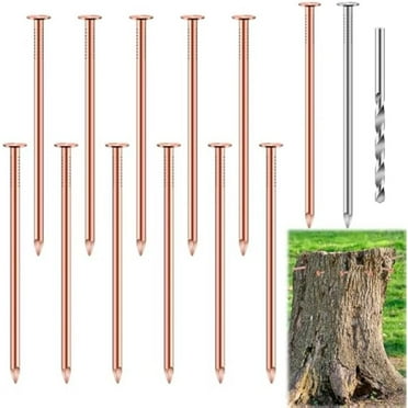 25/20/15Pcs 4Inch Copper Nails For Killing Trees Stump Root Stump ...