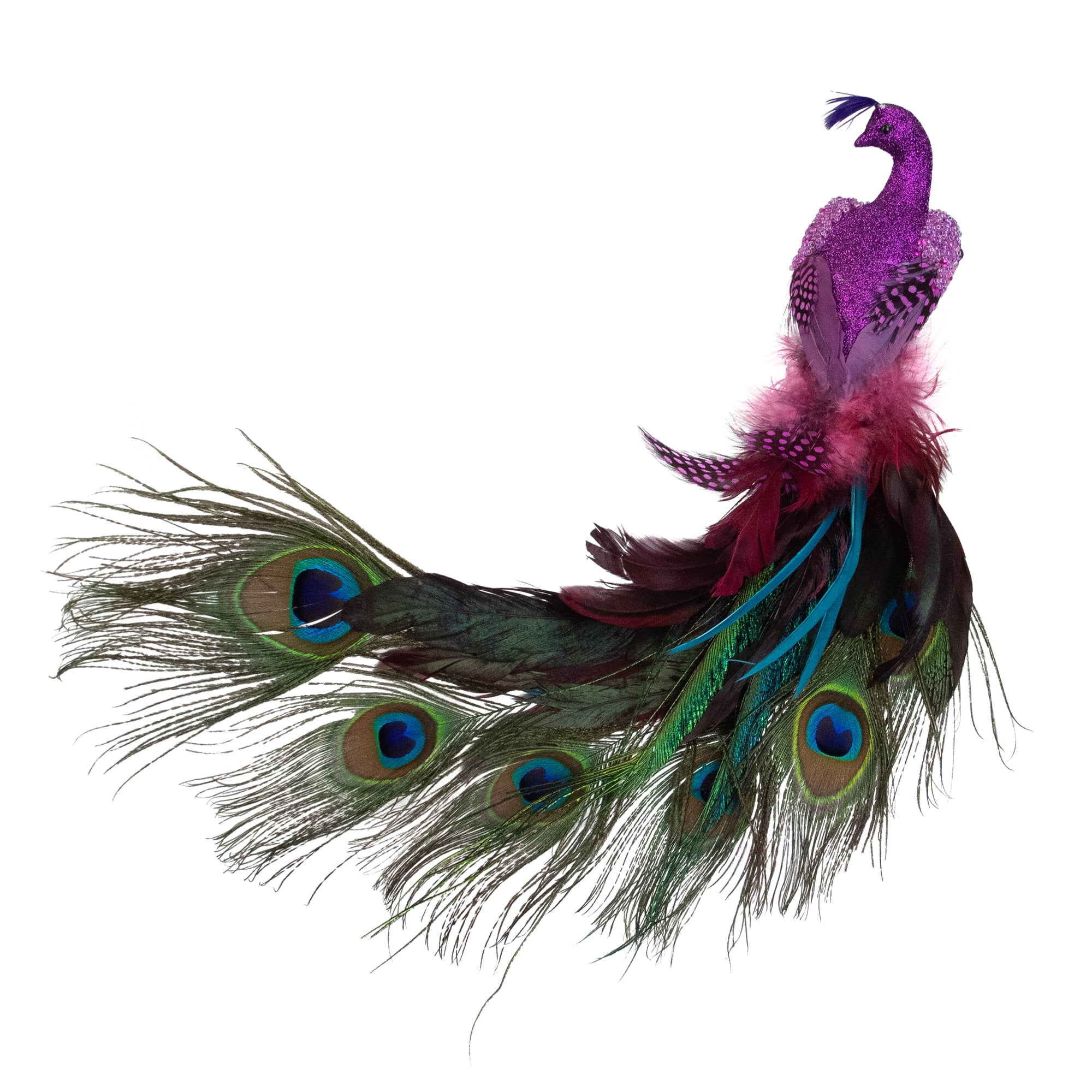 Purple Peacock Clip Art