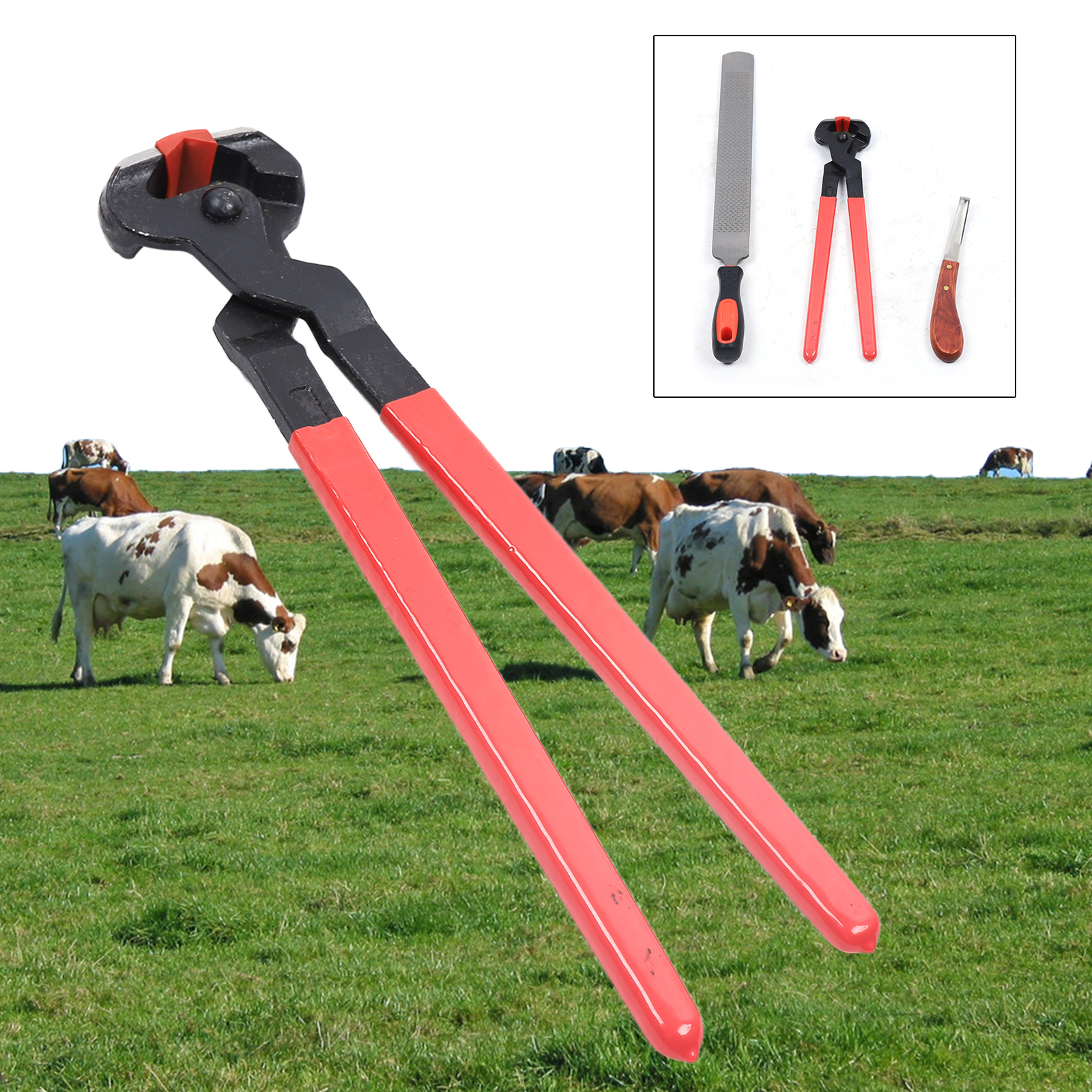 14" Professional Steel Horse Hoof Nipper Farrier Tool Set with Hoof ...