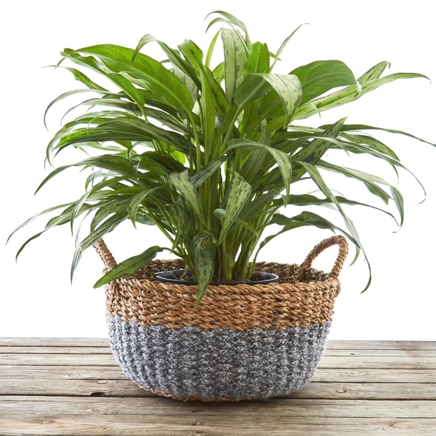 14" Small Rope Cotton Wide Planter Shelf Basket - Walmart.com