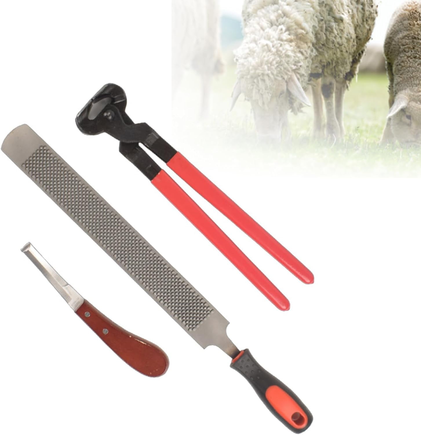 14 inch Farrier Hoof Tool Kit（3 Piece） Mini Rasp Hoof File Goat Pig ...