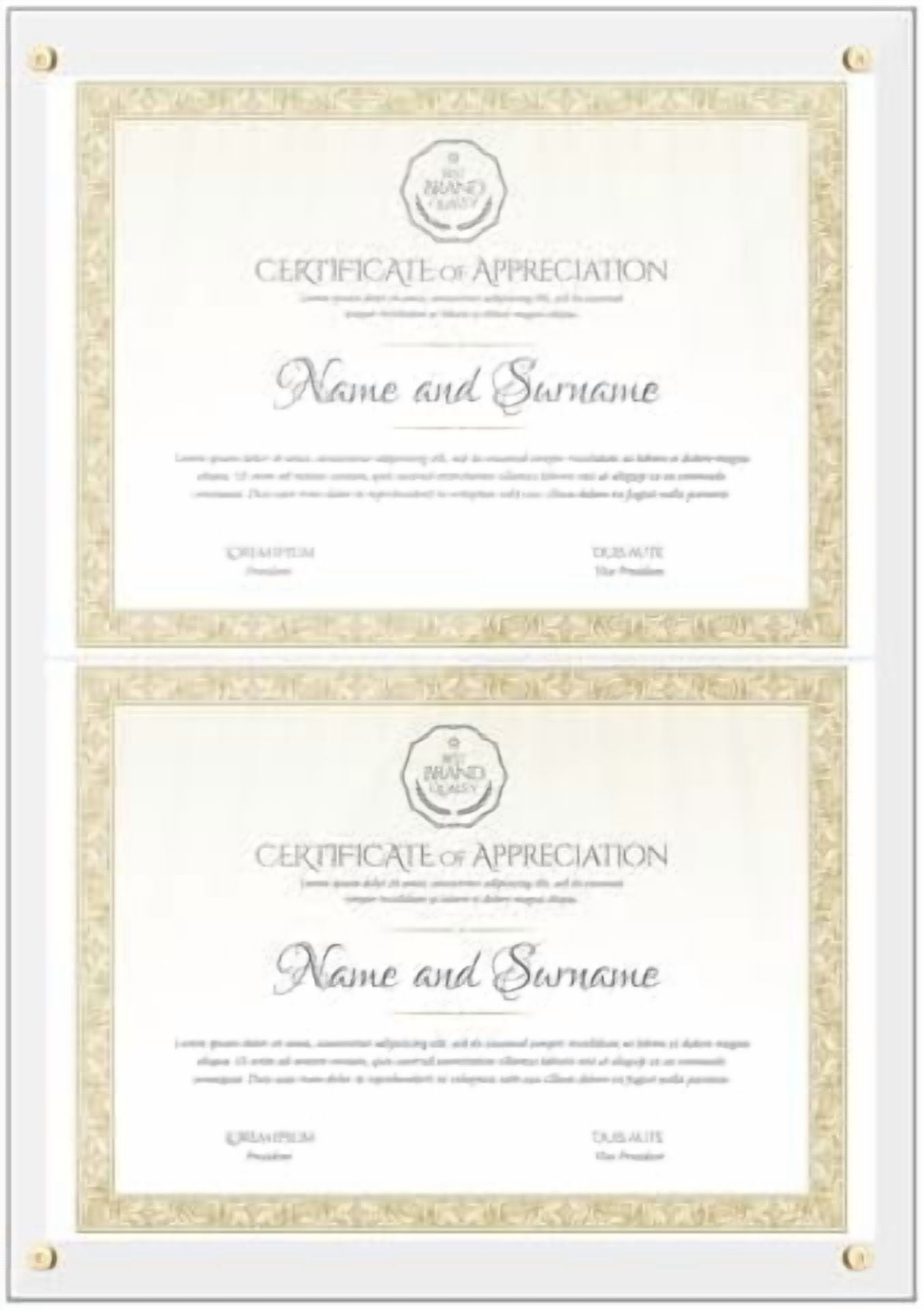 14 x 20 Acrylic Double Diploma Frame for Two 8.5 x 11 Diplomas ...