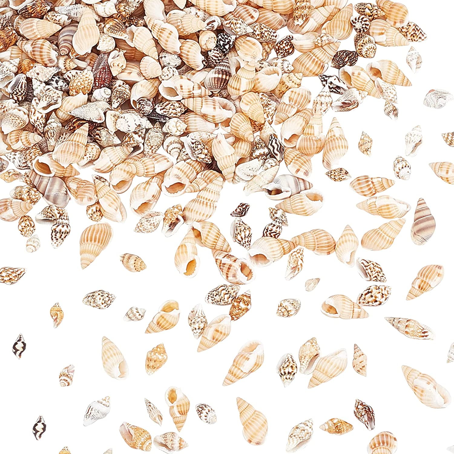 140g Tiny Sea Shell Ocean Beach Spiral Seashells Craft Charms for ...