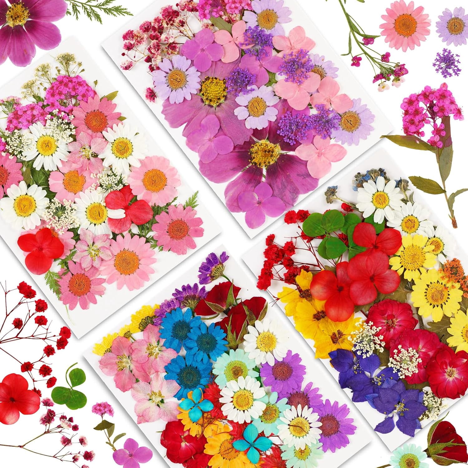 141Pcs Dried Pressed Flowers for Resin, Natural Dried Flowers Real ...