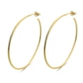 Amy and Annette 14K Gold Plated Large Hoop Earrings, Butterfly Closure ...