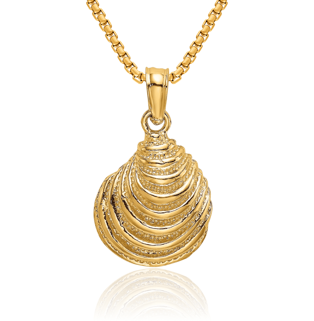 14K Solid Yellow Gold Clam Shell Necklace Chain Pendant Charm - Walmart.com