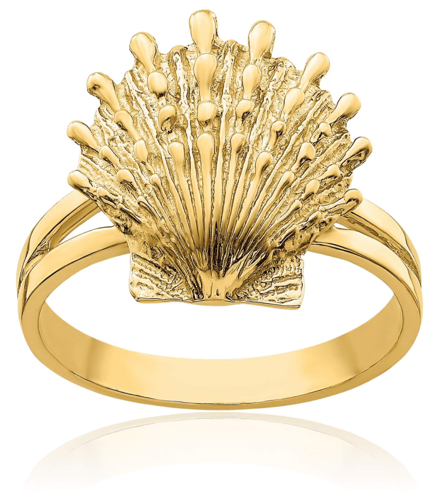 14K Solid Yellow Gold Lions Paw Scallop Shell Ring - Walmart.com