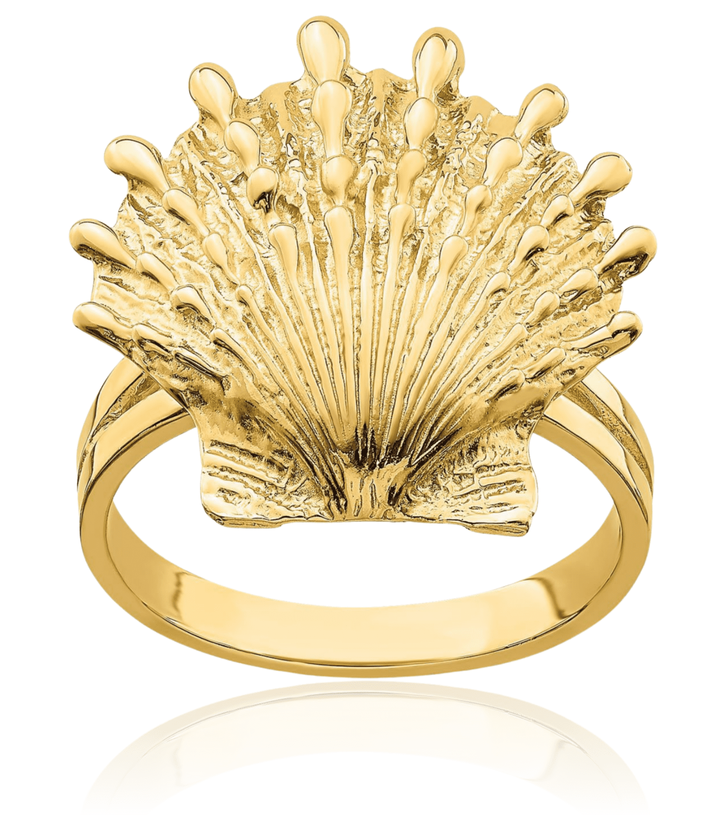 14K Solid Yellow Gold Lions Paw Scallop Shell Ring - Walmart.com