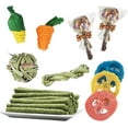 14PCS Pet Rabbit Toy Set for Teeth Grinding, Bunny Chew Toys, Loofah ...