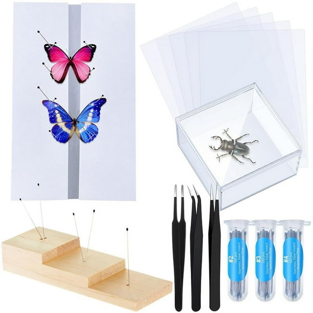 14Pc Insect Specimen Tools Kit Insect Pinning Block,Insect Pinning ...