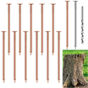 25/20/15Pcs 4Inch Copper Nails For Killing Trees Stump Root Stump ...