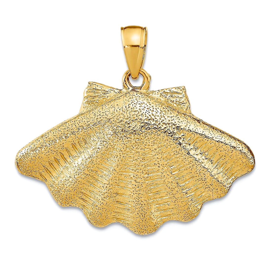 14k Gold Clam Shell 2-d Charm 21x31mm Wide Pendant Necklace for Women ...
