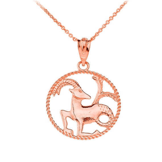 14k Rose 12 Astrological Zodiac Signs Rope Pendant / Necklace Capricorn ...