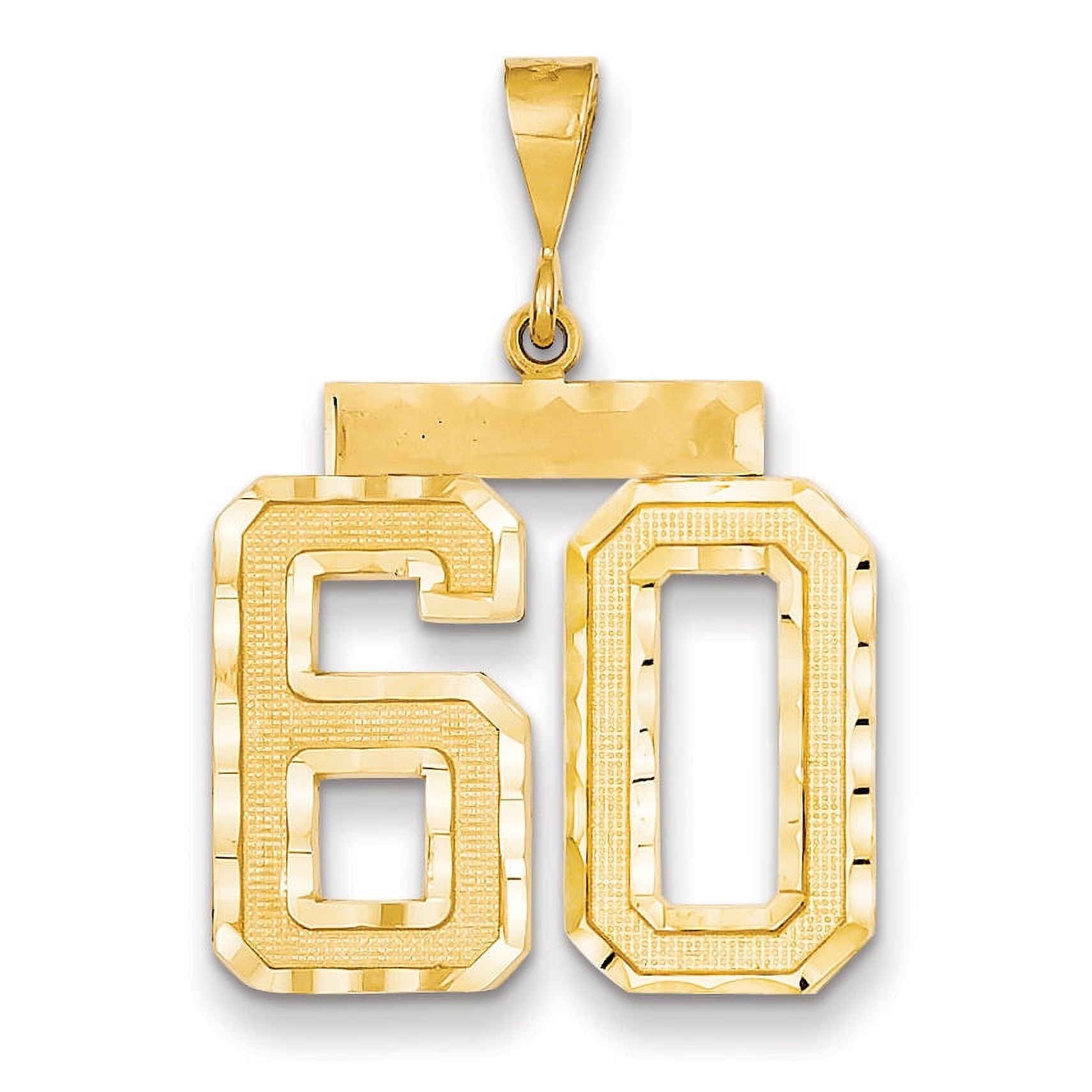 14k Yellow Gold Diamond Cut Texture Finish Large Size Number 60 Charm ...