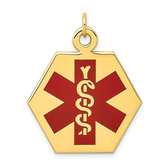 14k Yellow Gold Medical Alert Pendant with Star of Life and Rod of ...