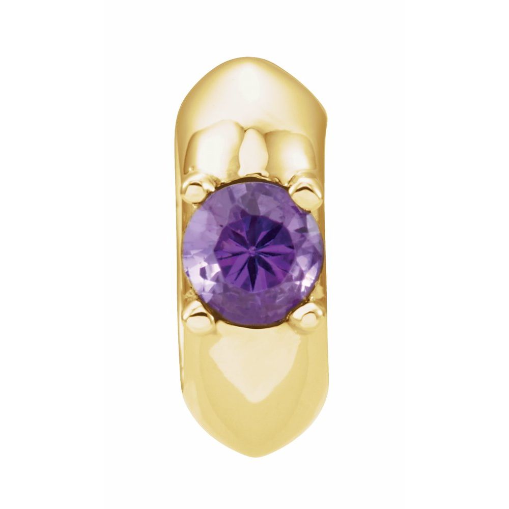 14k Yellow Gold Round Shape February Birth of a Family Member Miniature ...
