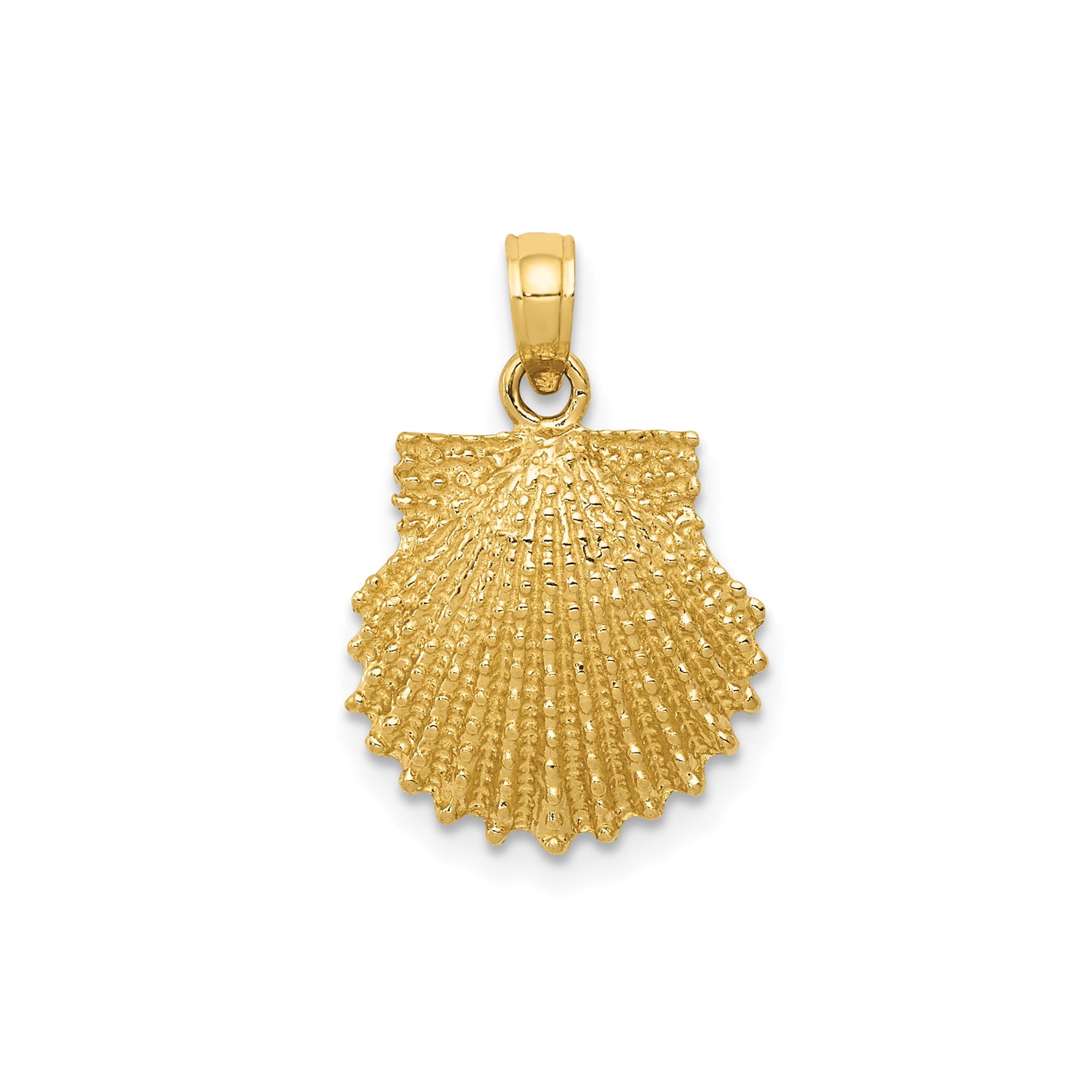 14k Yellow Gold Scallop Shell Pendant Necklace for Women, Textured ...