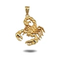 14k Yellow Gold Zodiac Symbol Pendant Necklace Scorpio (20 Inches ...