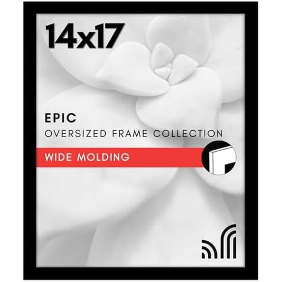 14x17 Picture Frame with Polished Plexiglass - Black Picture Frame ...