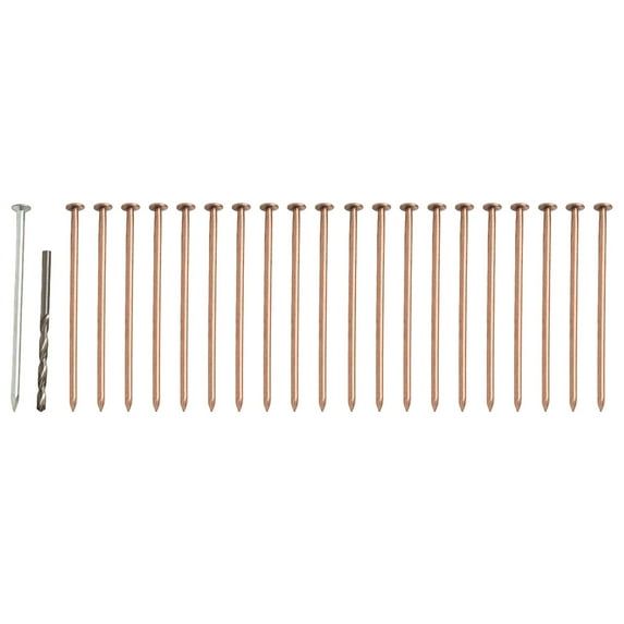15/20/25Pcs 4Inch Copper Nails For Killing Trees Stump Root Tree Killer ...