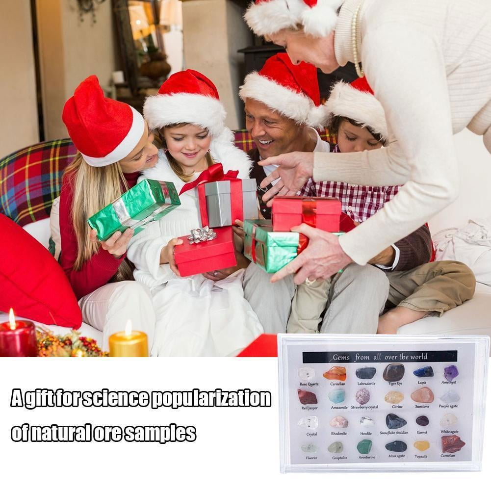 15/24Pcs Rock Gemstones Collection Box Quartz Crystal Natural Specimen ...