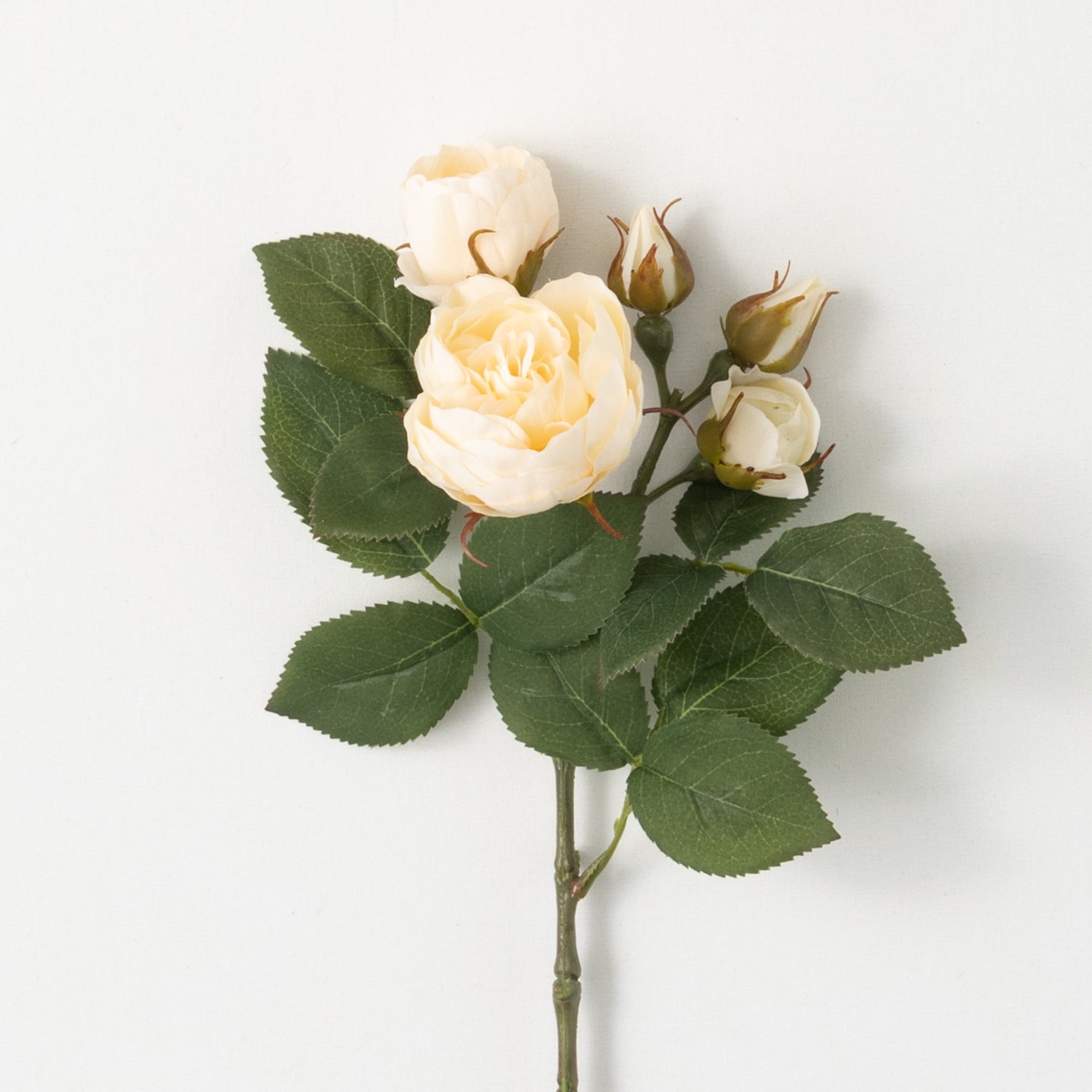 Sullivans Cream Blossoming Roses - Lifelike Faux Floral Stem - Walmart.com