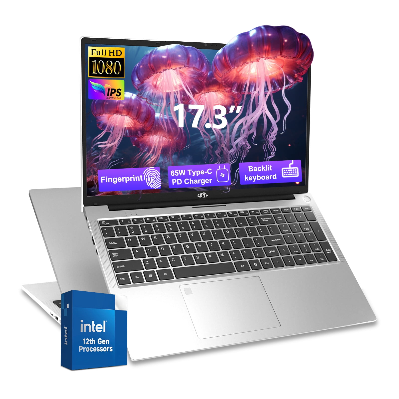 17.3 IPS FHD-Laptop, 8GB RAM 256GB SSD Intel Pentium 6 Cores i3-1215U ...