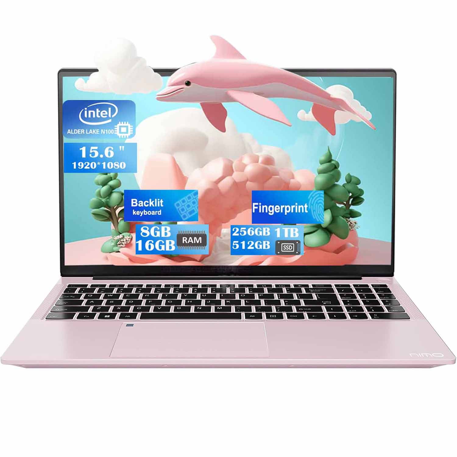 15.6 inch Laptop Computer Windows 11, with Intel N100 Processor, FHD ...