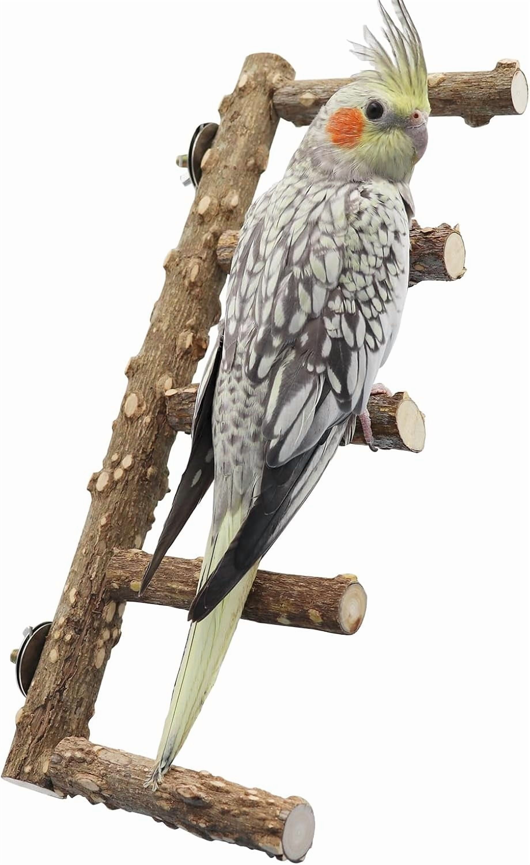 15.7 Inch Large Bird Perch Stand, Natural Wood Parrot Climbing Ladder ...