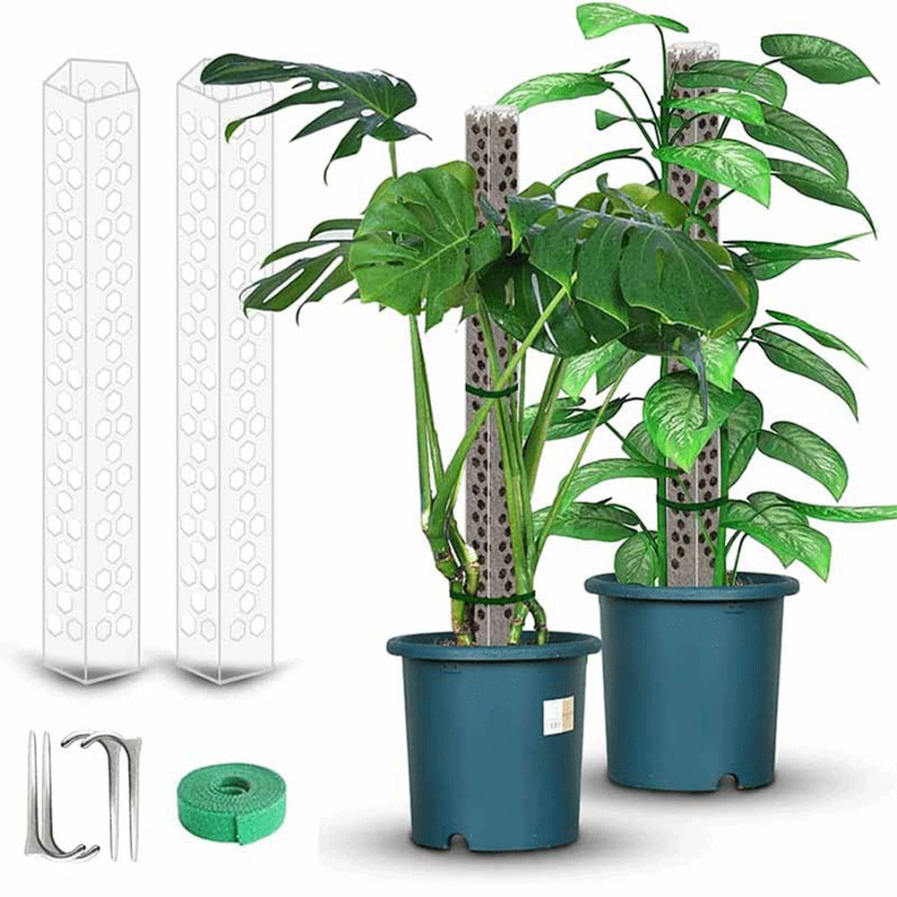 15.7 in Moss Plant Pole Transparent Moss Poles for Climbing Plants ...