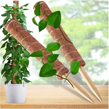 Seeding Square: Seed Sowing Template - Perfectly Spaced & Planted ...