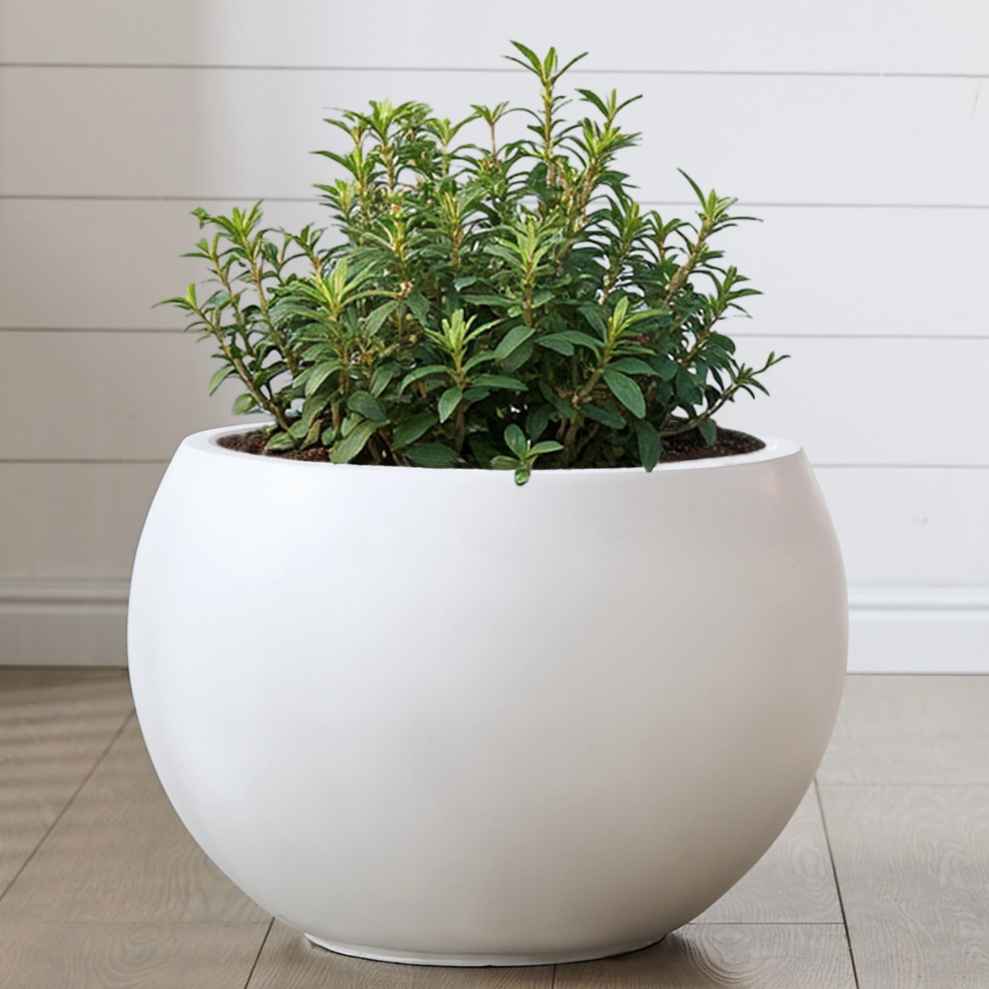 15.8" D x 10.9" H Fiberstone Sphere Planter, White, 11.8" Pot Opening ...