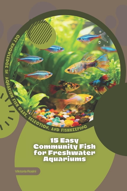 15 Easy Community Fish for Freshwater Aquariums: Get Knowledge in ...