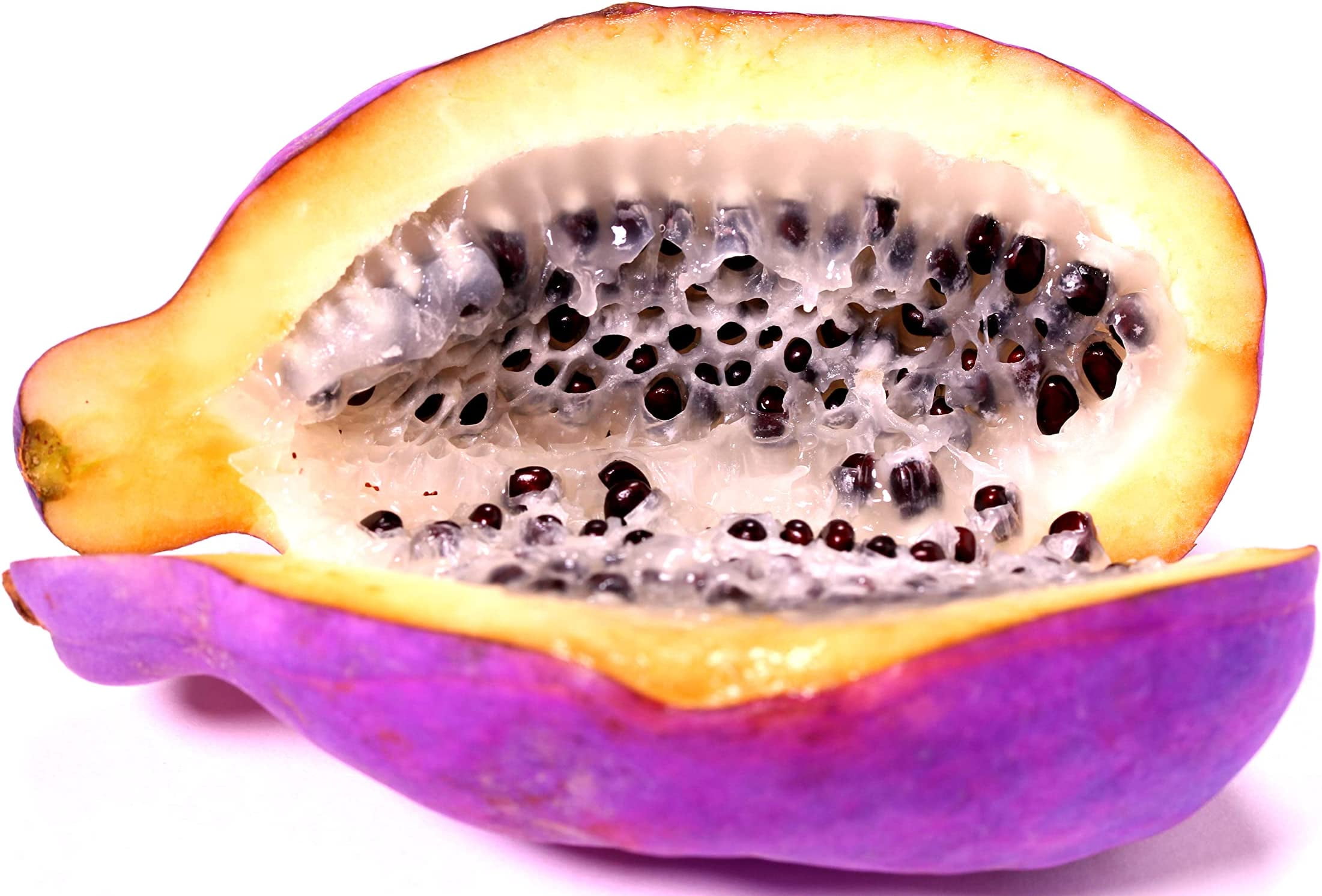 CZ Grain 15 Exotic Chocolate Vine Seeds, Akebia quinata Plant Seeds ...