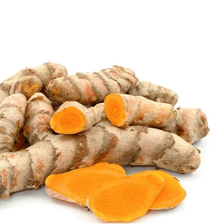 15 Fresh Orange Turmeric Roots Turmeric Ginger Herb Tubers Curcuma ...