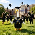 15 Inch Porch Goose Graduation Outfit, Cap and Gown Set, Outdoor Lawn ...