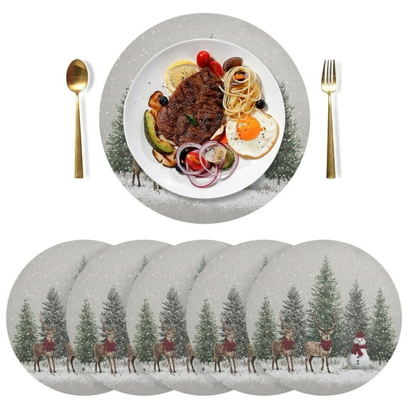 15 Inch Round Grid Plate Mats Heat Non-Slip Resistant PVC Placemats for ...